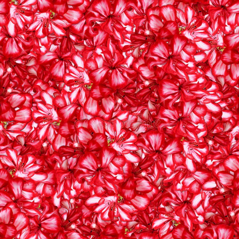 Seamless Background Pattern Texture Made of Flowers Stock Photo - Image ...