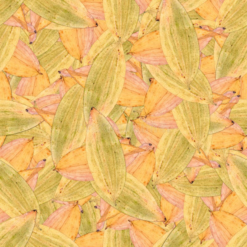 Seamless Background Pattern Texture Made of Leaves Stock Image - Image ...