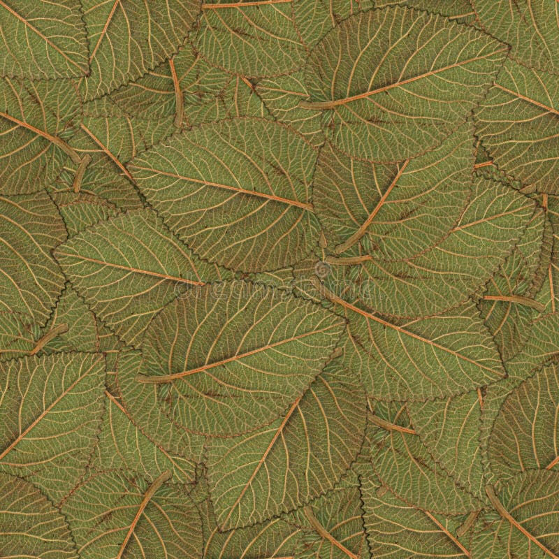 Seamless Background Pattern Texture Made of Leaves Stock Image - Image ...