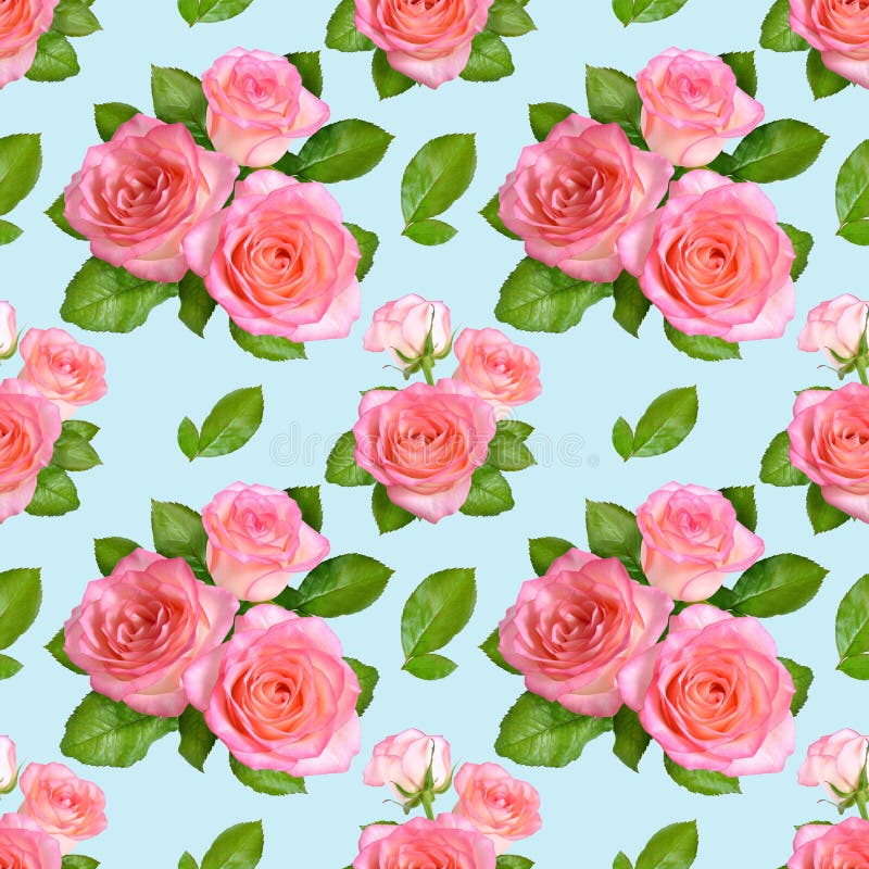 Seamless Background.Pink Roses on Blue Stock Photo - Image of flowers ...