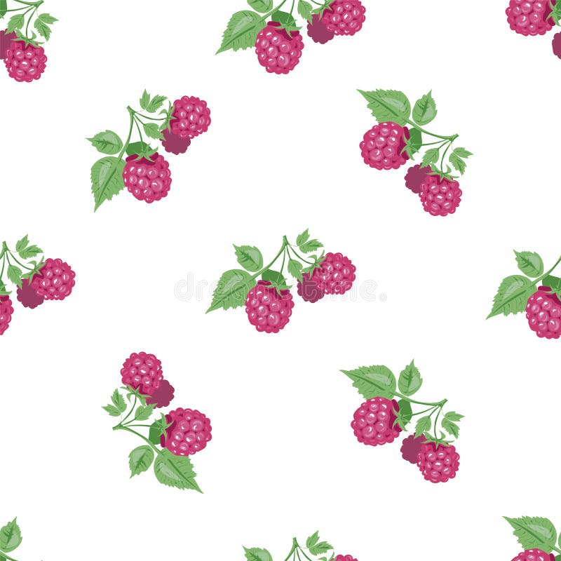 Seamless Background with Raspberry and Leaves. Seamless Vector Pattern ...