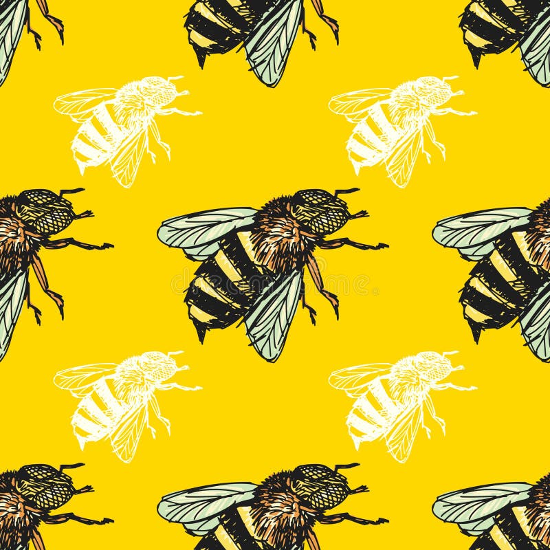 Seamless background stock illustration. Illustration of summer - 56567414