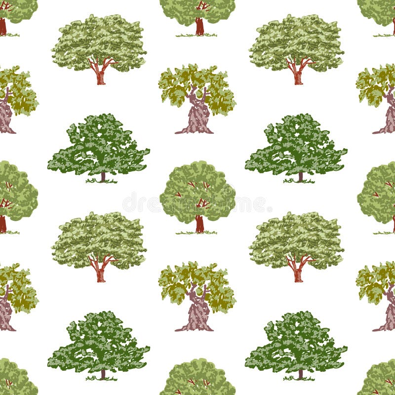 Seamless Background of Sketches Various Deciduous Trees Stock Vector - Illustration of wood ...