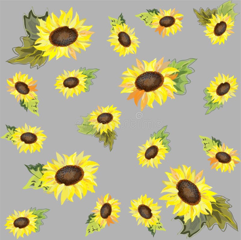 Seamless Background. Sunflower. Stock Vector - Illustration of pattern ...