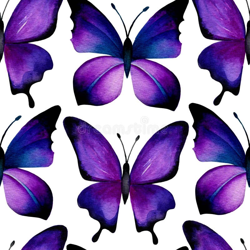 110+ Violet butterflies Free Stock Photos - StockFreeImages