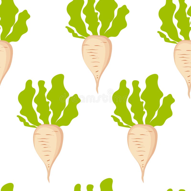 Seamless Background Of White Sugar Beets Stock Vector Illustration