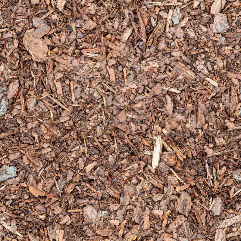 Seamless Bark Substrate Texture Stock Photo - Image of texture ...