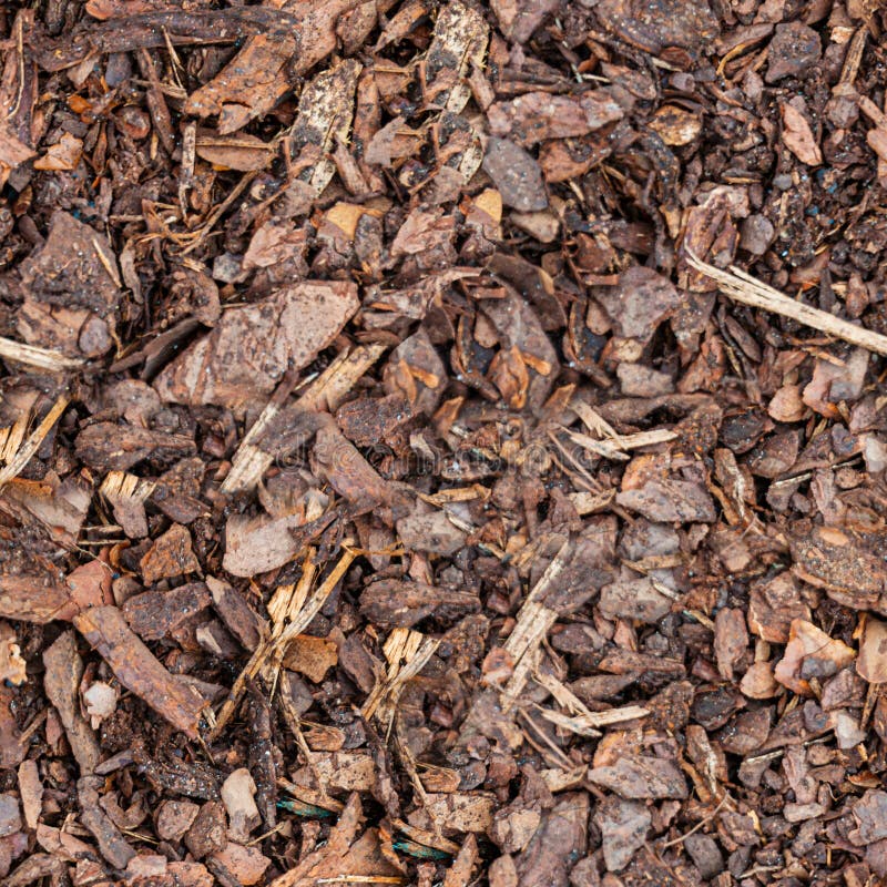 Seamless Bark Substrate Texture Stock Image - Image of seamless, bark ...