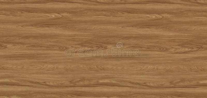 Seamless Beautiful Wood Texture for Background Stock Photo - Image of ...