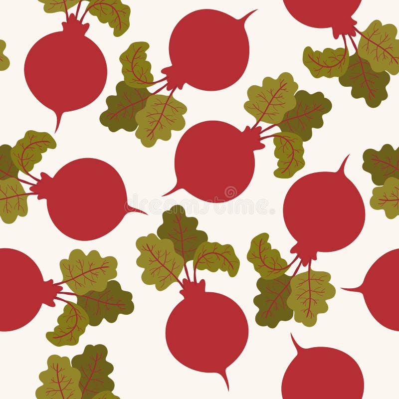 Seamless beetroot pattern stock vector. Illustration of garden - 97244963