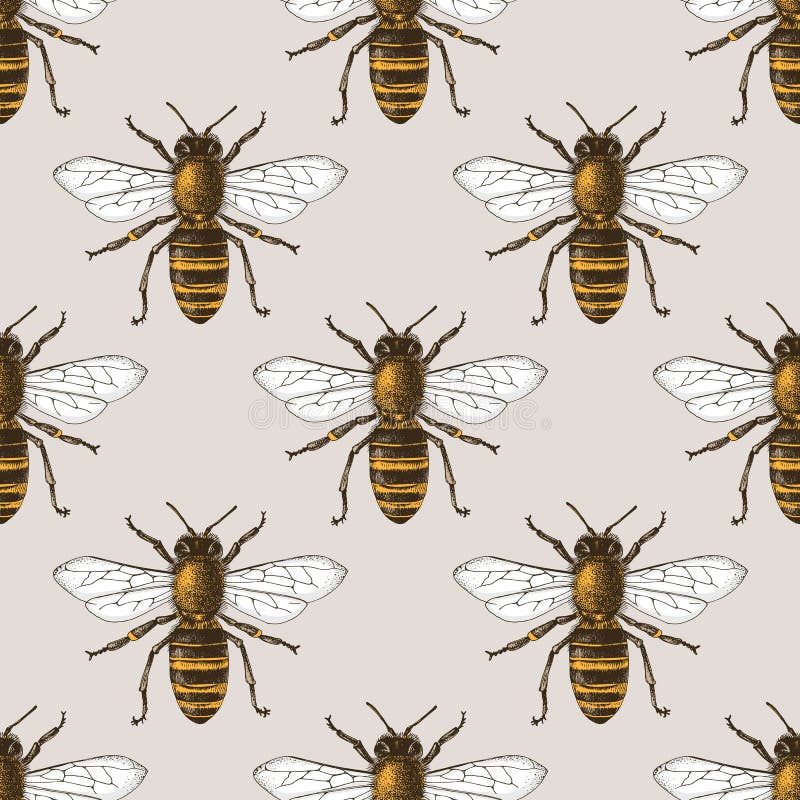 Seamless Beige Background with Bees. Stock Vector - Illustration of ...