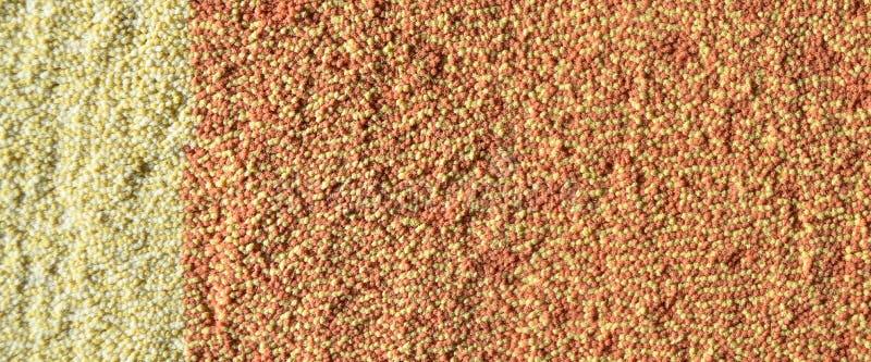 Seamless Beige and Red Carpet Rug Texture Background from Above Stock ...