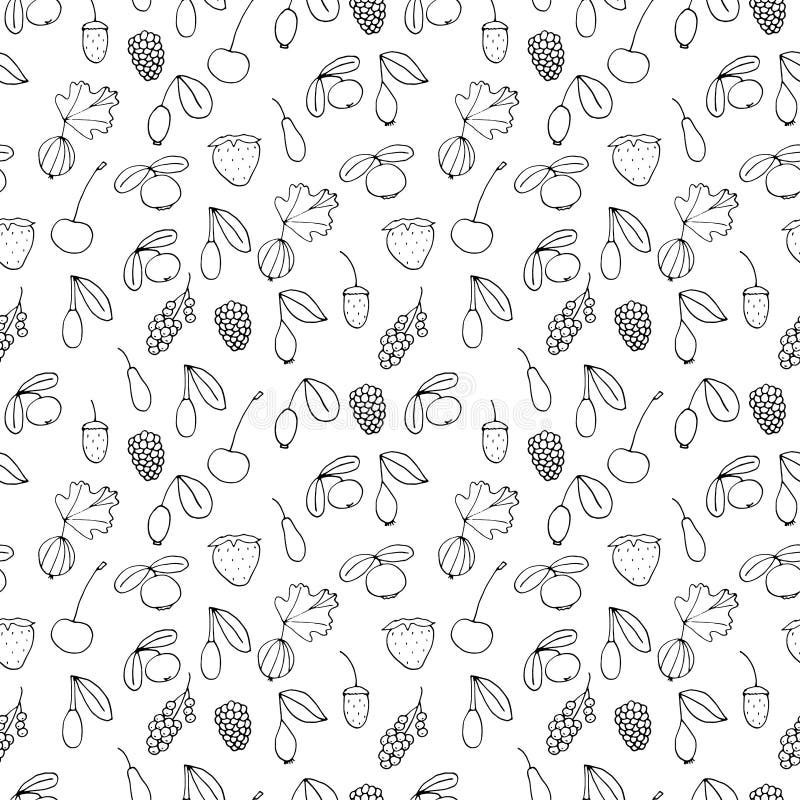 Seamless Berry Pattern, Vector Illustration, Hand Drawing, Orange Color ...