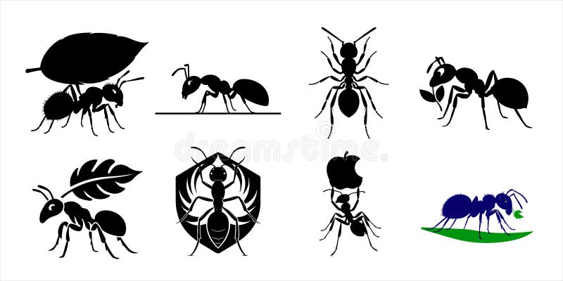 Seamless Black Ant Patterns Stock Vector - Illustration of nature, icon ...