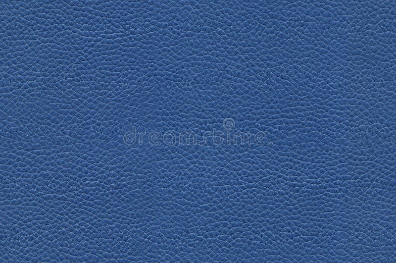 744 Pigskin Texture Stock Photos - Free & Royalty-Free Stock Photos ...