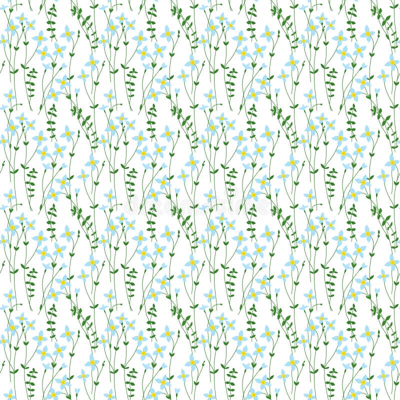 Illustrated Bluet Stock Illustrations – 5 Illustrated Bluet Stock ...