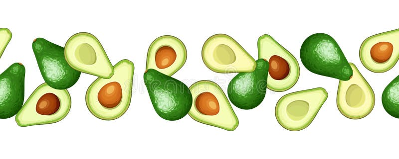 Seamless Border with Avocado Fruit. Vector Illustration Stock Vector ...