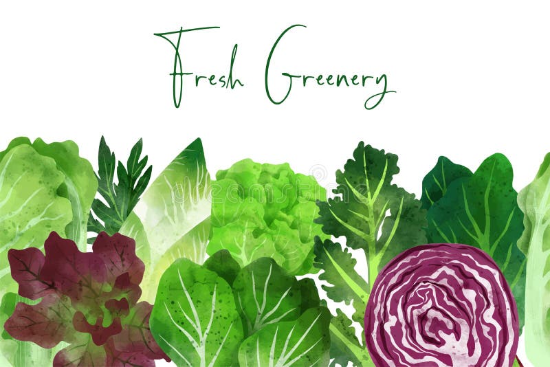 Seamless Border Composed of Fresh Vegetables and Herbs Stock Vector ...