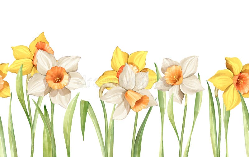 Seamless Border with Daffodils, Hand Drawn Banner Spring Flowers Theme ...