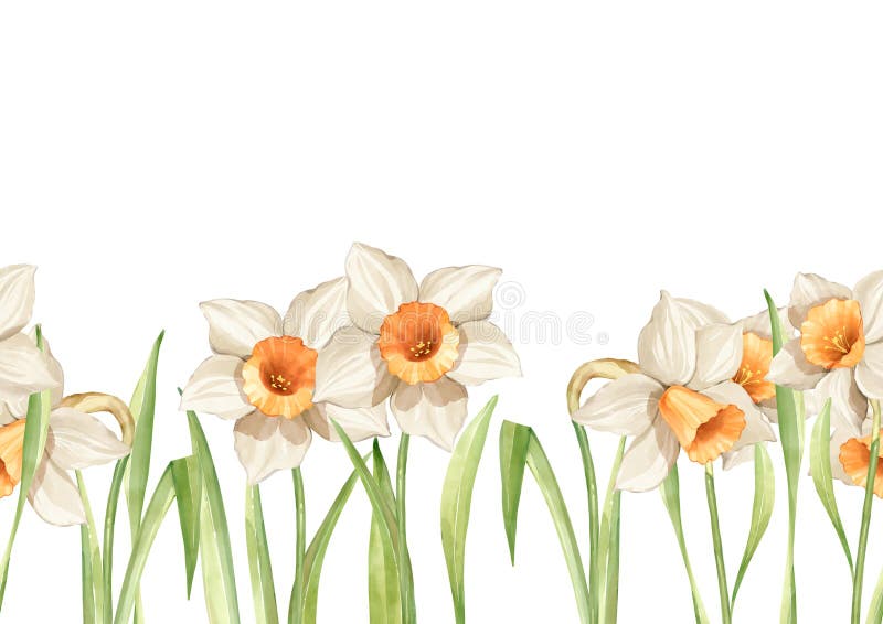 Seamless Border with Daffodils, Hand Drawn Banner Spring Flowers Theme ...