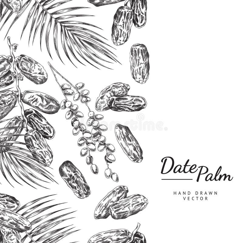 Seamless Border with Dates Repeating in Vertical, Sketch Vector ...