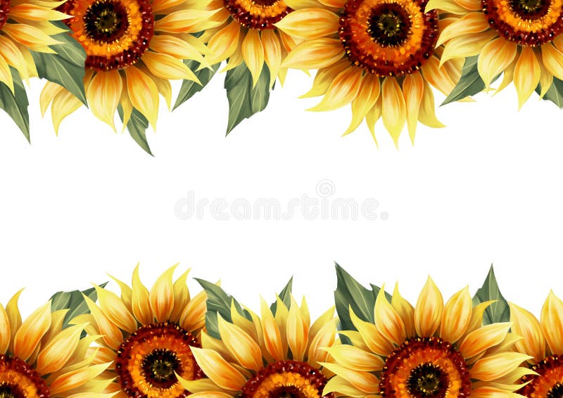 Seamless Border Frame with Hand-drawn Sunflowers. Stock Photo - Image ...