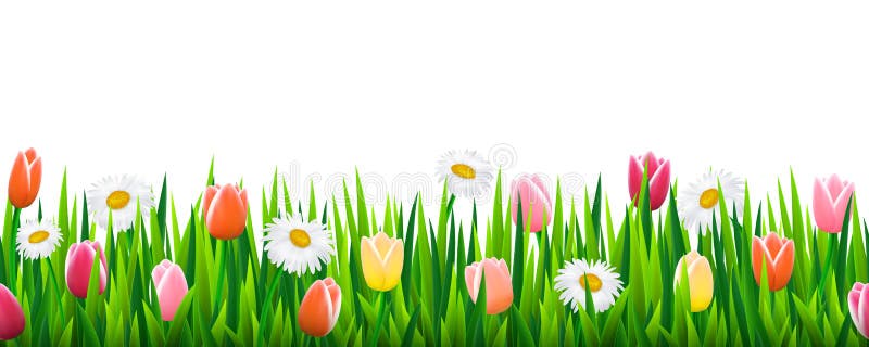 Seamless Border with Grass and Flowers Stock Vector - Illustration of ...