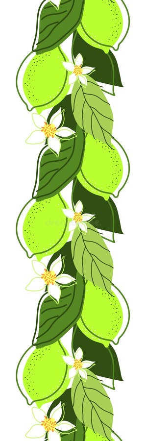 Lime Green Border White Stock Illustrations – 1,403 Lime Green Border ...