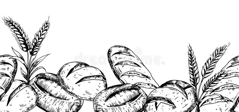 Seamless Border with Loaves of Bread. Drawing in Sketch Style Stock ...