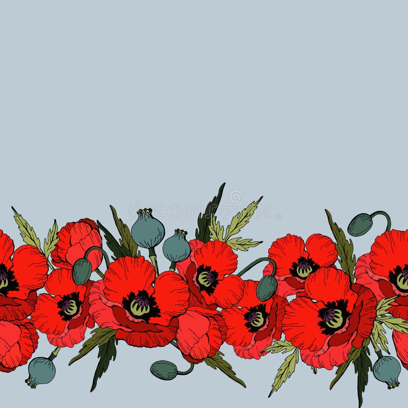 Poppy border stock vector. Illustration of fashioned - 37645215