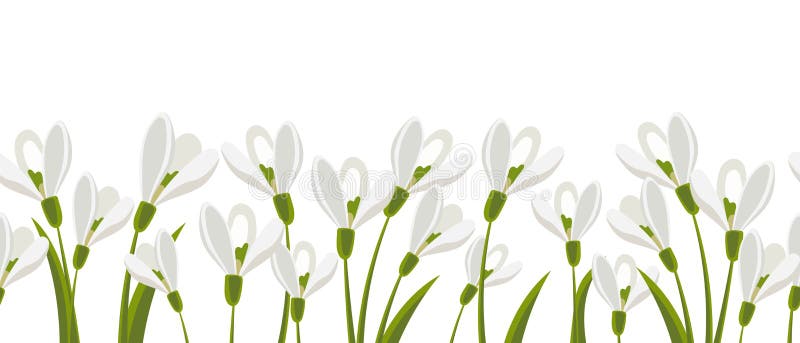 Seamless Border, Spring Flowers Snowdrops. Spring Background with Copy ...