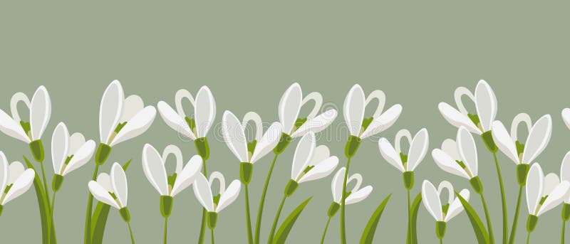 Seamless Border, Spring Flowers Snowdrops on Light Green Background ...