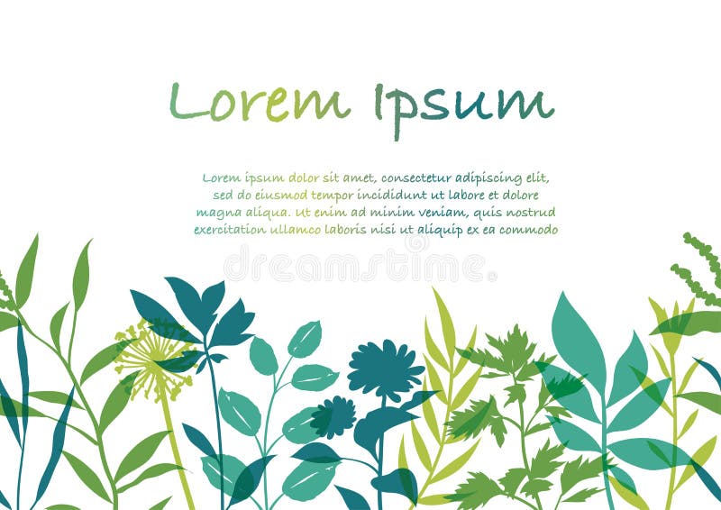 Seamless Botanical Background with Text Space Isolated on a White ...