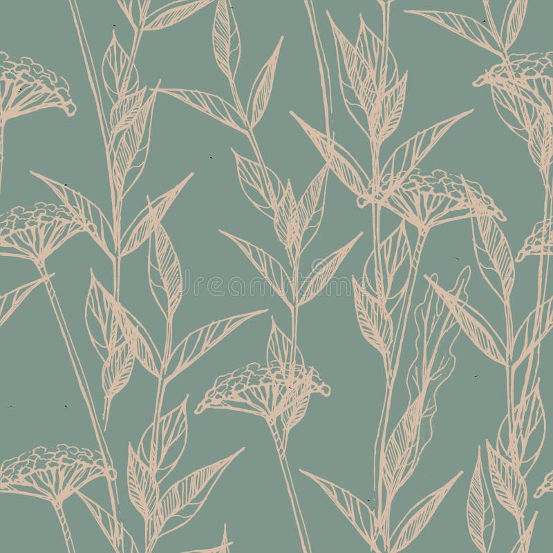 Seamless Botanical Hand Drawn Pattern Stock Illustration - Illustration ...