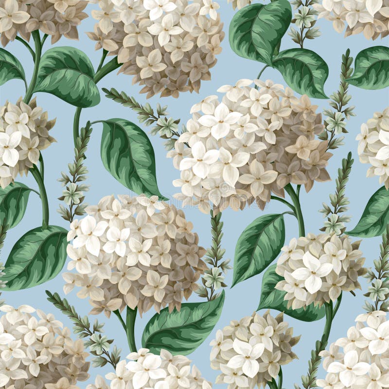 Seamless Botanical Pattern with Hydrangeas. Vector Stock Vector - Illustration of beautiful ...