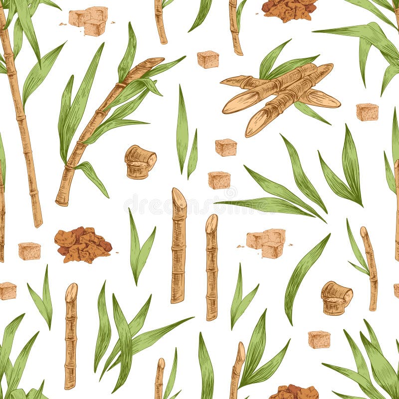 Seamless Botanical Pattern with Piles and Cubes of Brown Sugar, Cane ...