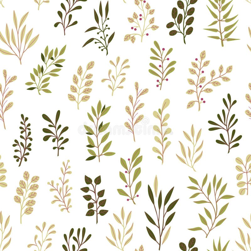 Seamless Branch Pattern. Hand Drawn Vector Illustration Stock Vector ...