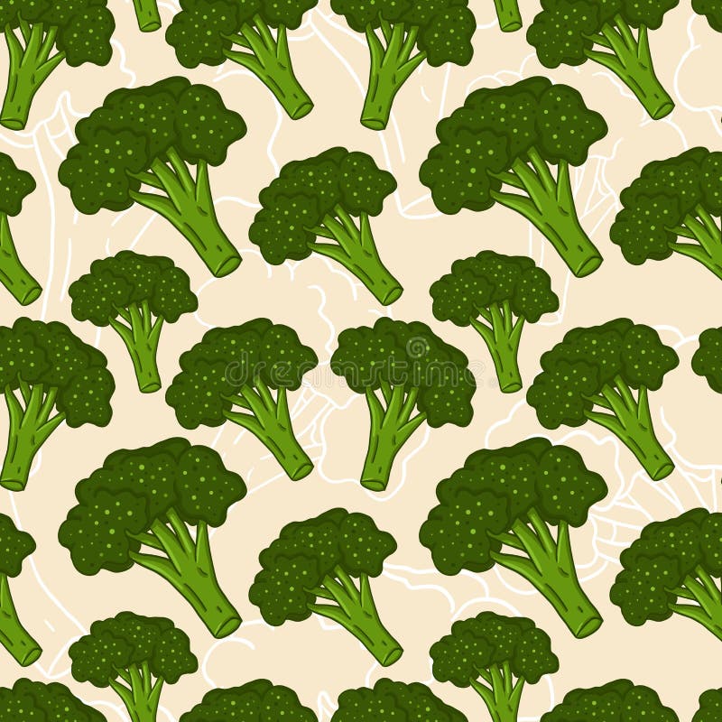 Seamless Broccoli Pattern. Background for Design Stock Vector ...