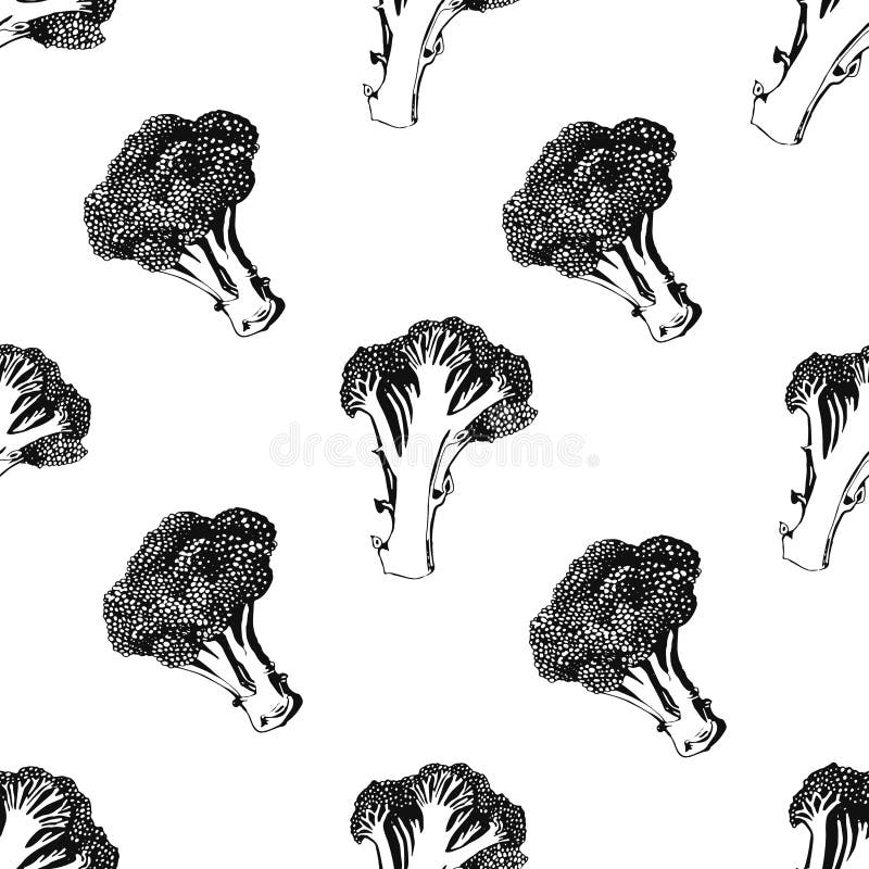 Seamless Broccoli Pattern. Background for Design Stock Vector ...