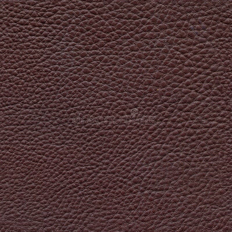 Seamless Brown Leather Texture Stock Photo - Image of skin, brown ...