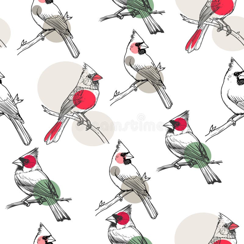 Seamless Cardinal Bird Pattern with Abstract Circles. Hand-Drawn ...