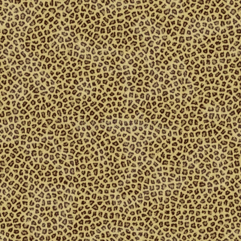 Cheetah Skin Stock Illustrations – 29,116 Cheetah Skin Stock ...