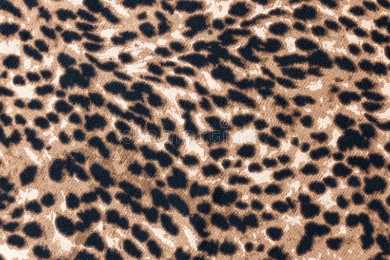 Cheetah Skin Texture with Palette Color Swatches Stock Photo - Image of ...