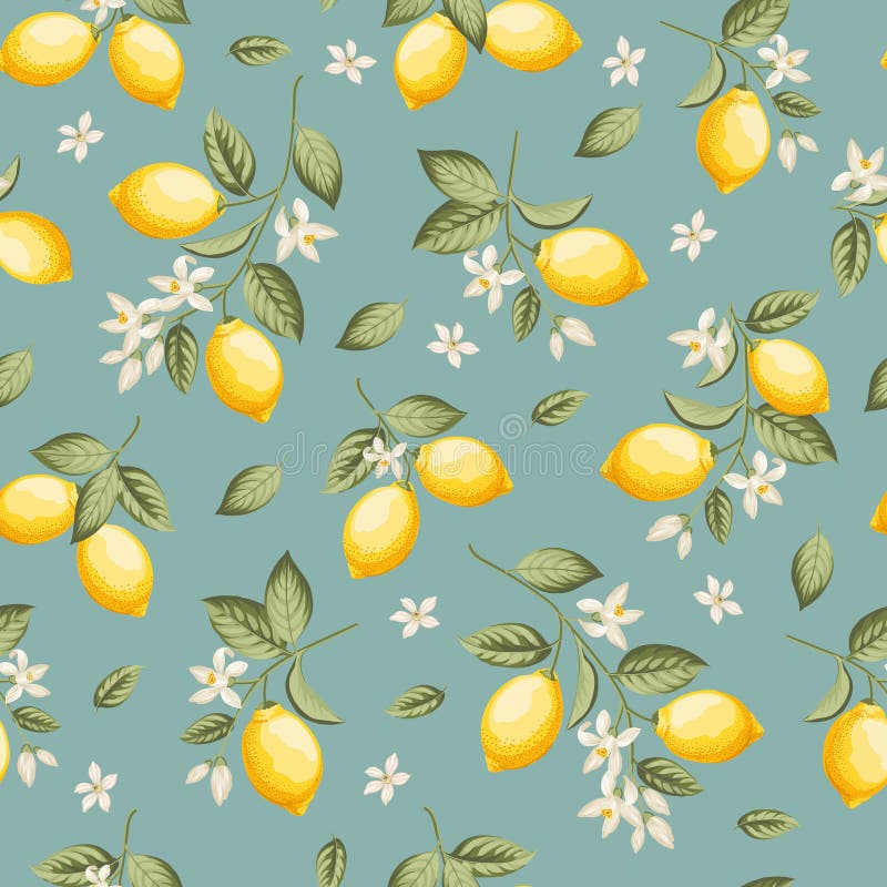 Seamless Citrus Pattern with Lemons. Vector Illustration. Stock Vector - Illustration of flower ...