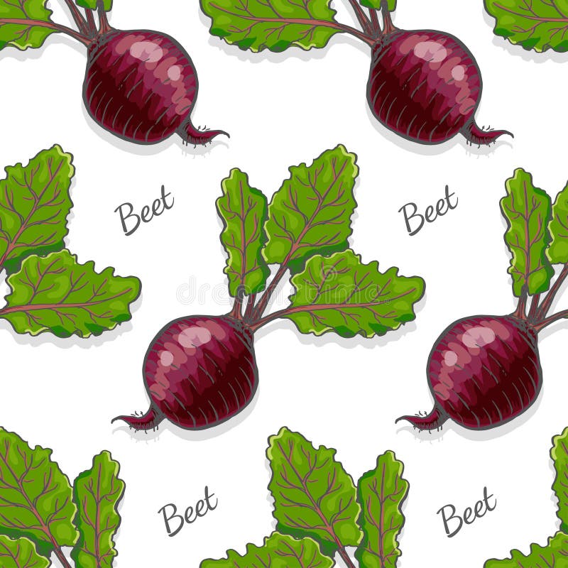 Seamless Color Pattern with Beet Stock Vector - Illustration of fresh ...
