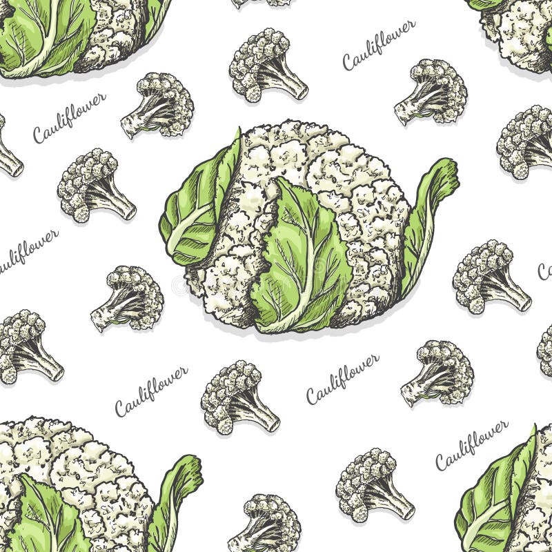 Seamless Color Pattern with Cauliflower Stock Vector - Illustration of ...