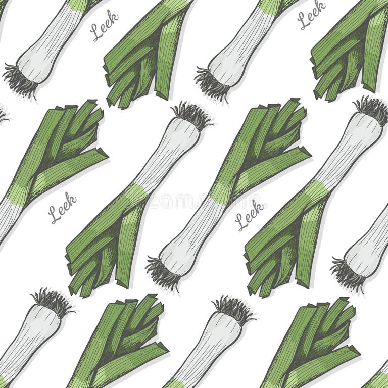 Seamless Color Pattern with Leek Stock Vector - Illustration of food ...