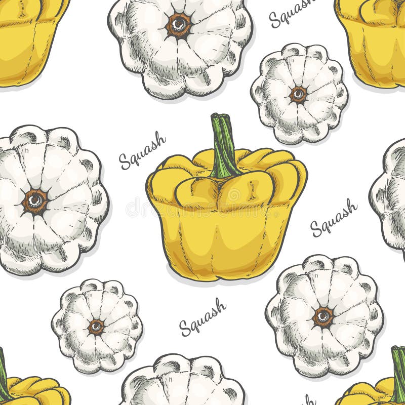 Seamless Color Pattern with Squash Stock Vector - Illustration of ...