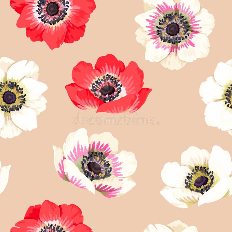 Detailed Anemones Stock Illustrations – 155 Detailed Anemones Stock ...