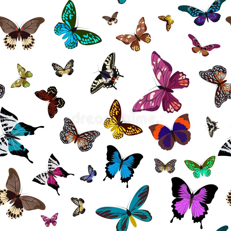 Seamless Colorful Pattern Design with Butterflies. Vector Illustration ...